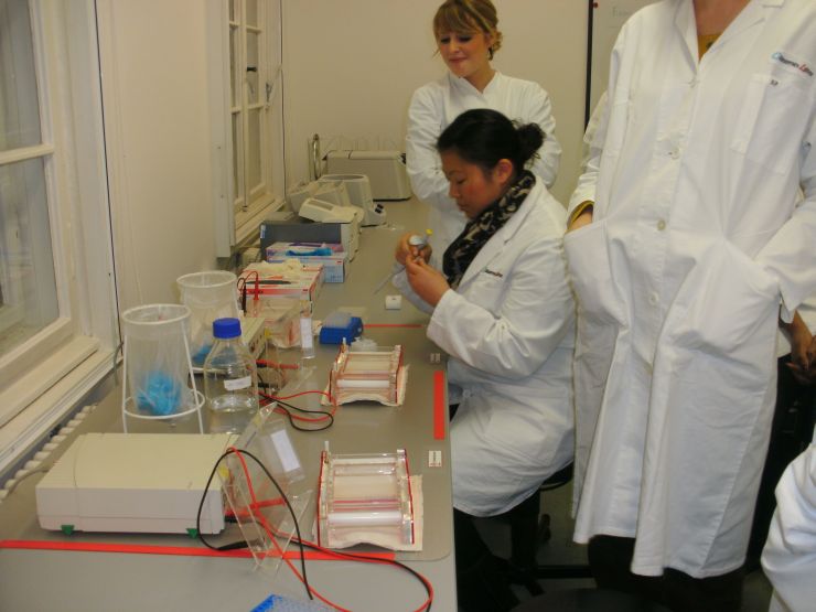 Gläsernes Labor / Gabriele-von-Bülow-Gymnasium